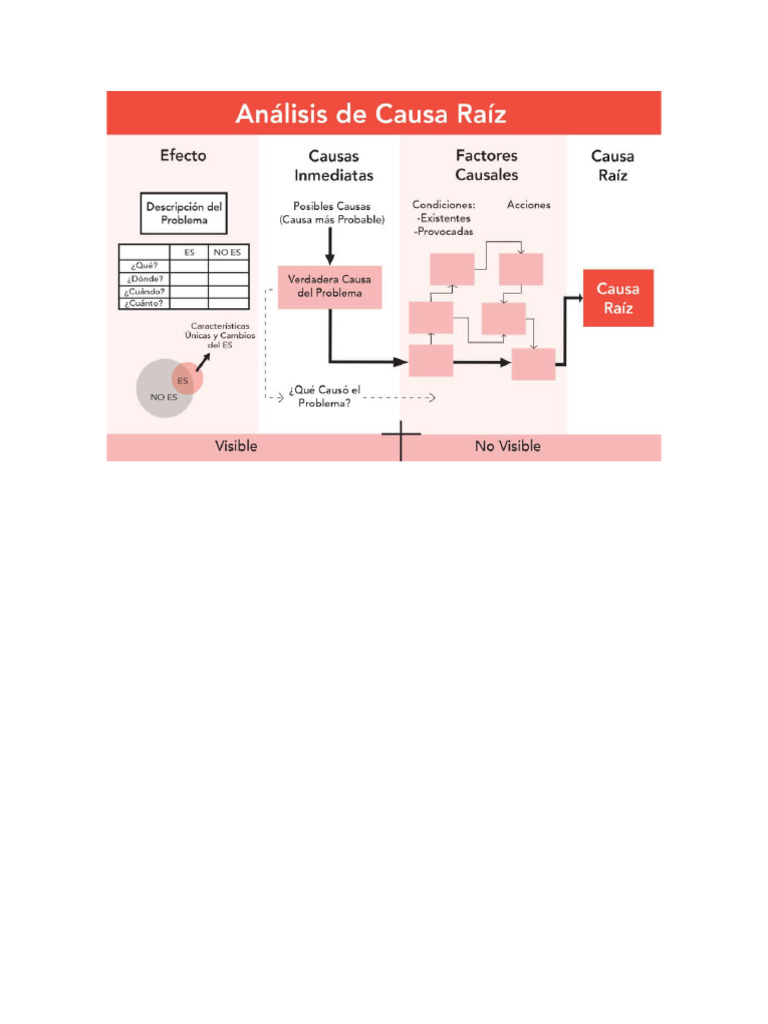 Analisis Causa Raiz | PDF