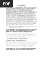 Nueva Normativa Anemia RM 251-2024-Minsa. NTS 213-2024. Modificatoria RM 429-2024-Minsa | PDF ...