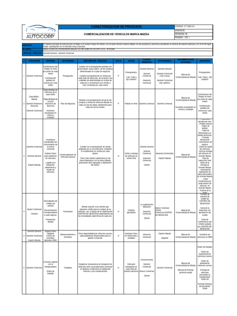CARACTERIZACION DE PROCESOS (EJEMPLO) Nivel 3 LEIDO | PDF | Presupuesto | Marketing