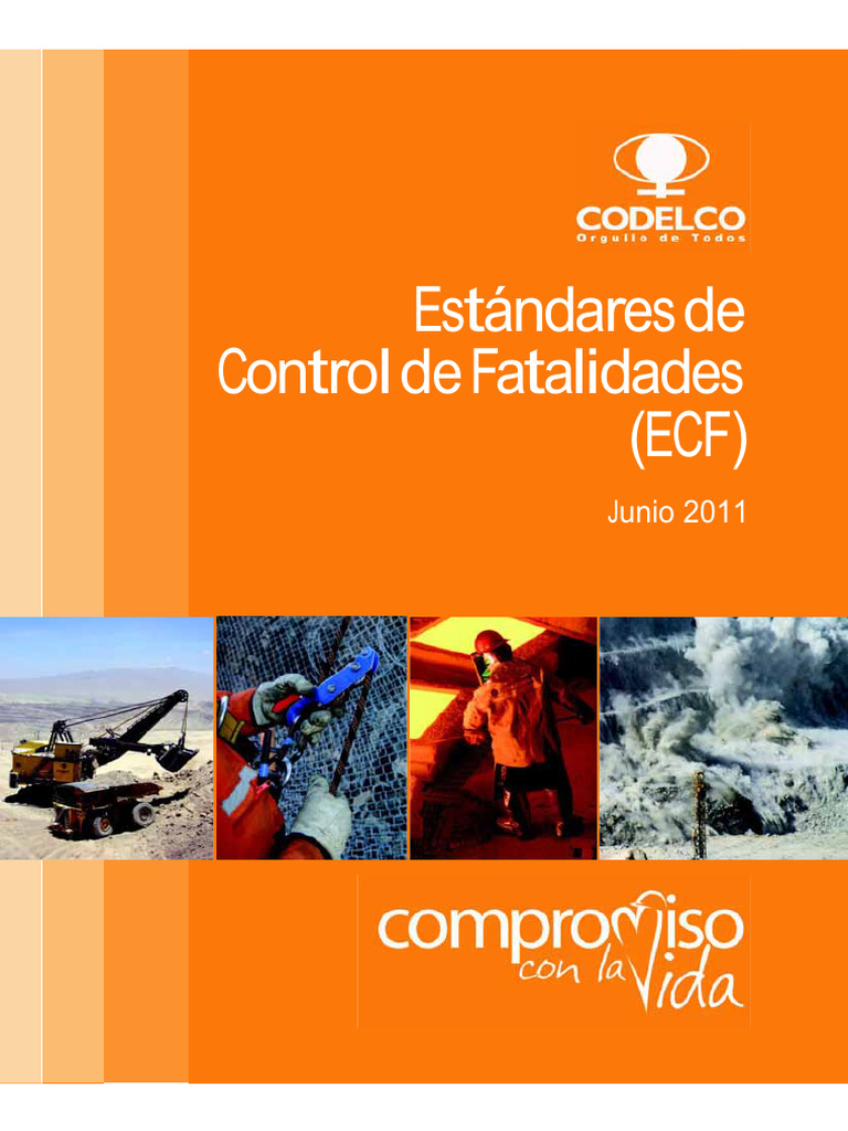 ESTANDARES DE CINTROL DE FATALIDADES CF CODELCO | PDF | Outsourcing ...