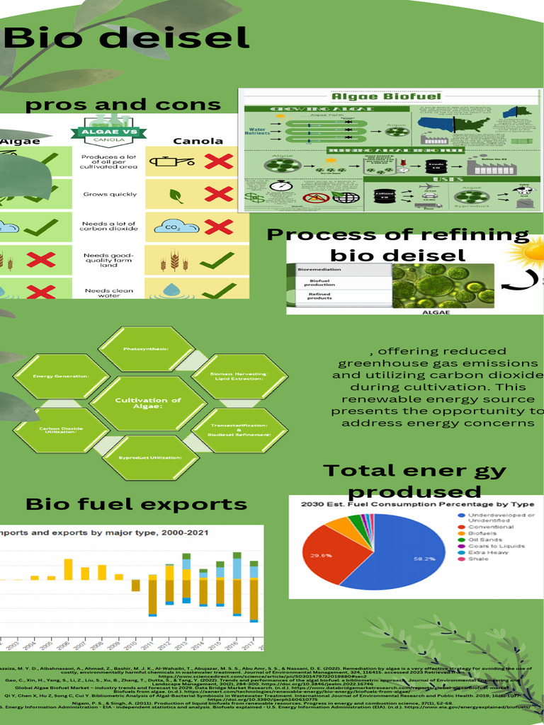 Bio Deisel Infographic | Download Free PDF | Biofuel | Algae Fuel