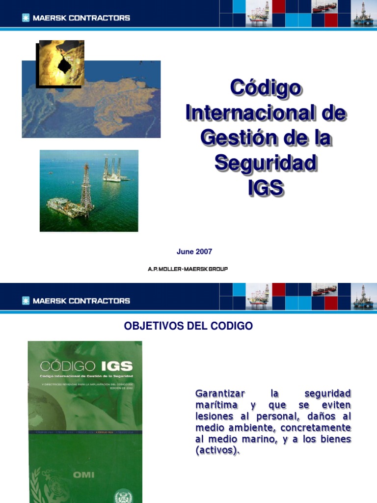 Presentacion IGS | PDF