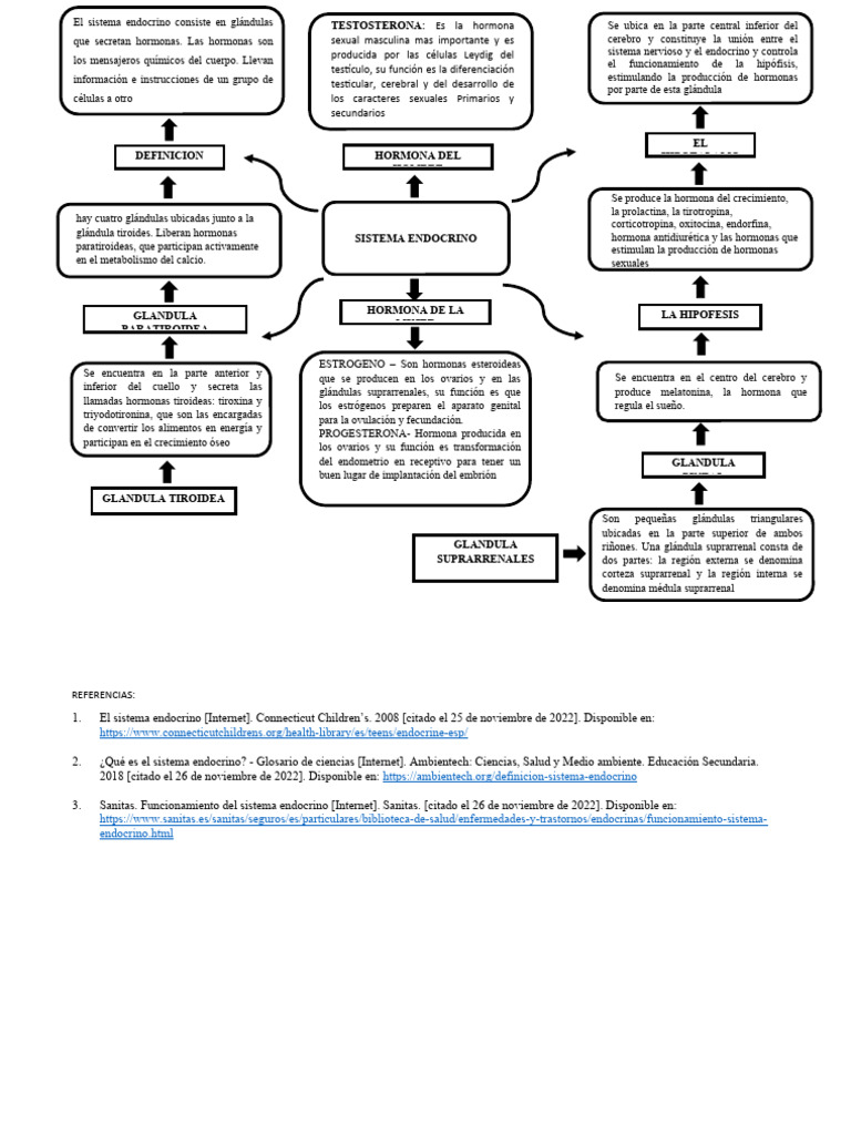 MAPA MENTAL DEL SISTEMA ENDOCRINO | PDF | Sistema endocrino | Hormona MAPA MENTAL DEL SISTEMA ENDOCRINO | PDF | Sistema endocrino | Hormona