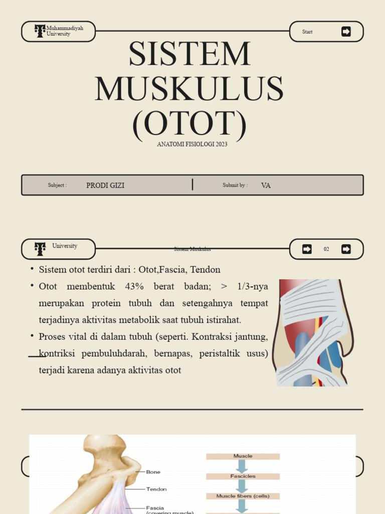 Sistem Muskulus | PDF | Pengembangan Diri | Kesehatan Holistik