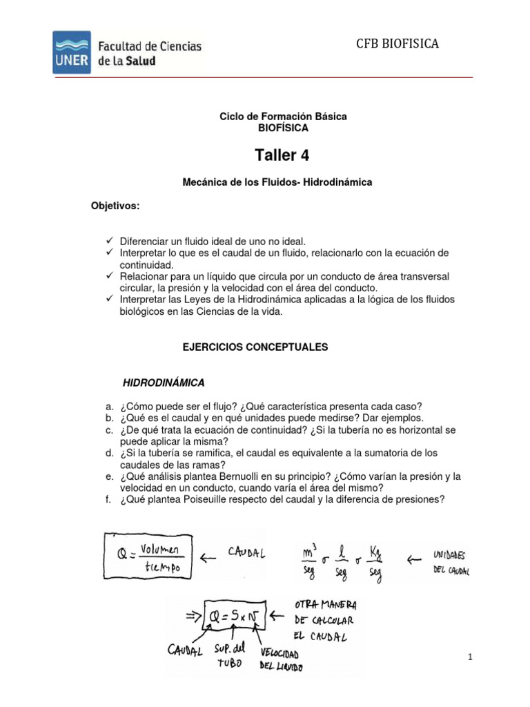 Taller 4 Fluidos Hidrodinámica | PDF | Dinámica de fluidos | Presión