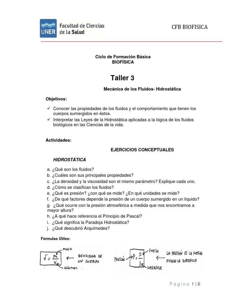 Taller 3 Fluidos Hidrostática Pdf Densidad Presión