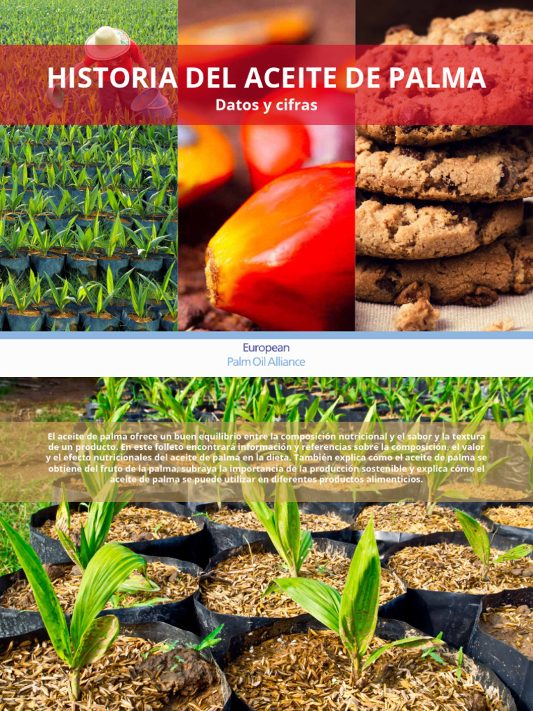 Dossier de Prensa - EPOA | PDF | gordo | Aceite vegetal