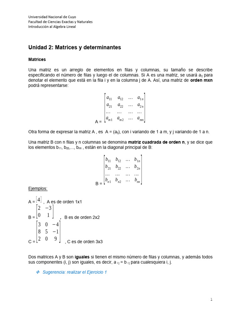 Matrices: Tipos, Propiedades y Operaciones | PDF | Matriz (Matemáticas) | Determinante