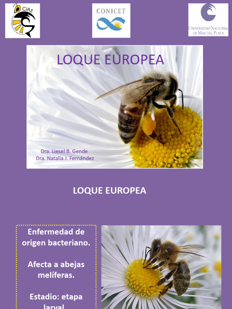 Clase Loque Europea-Sanidad Apicola 2020 | PDF | Apicultura | La cría ...