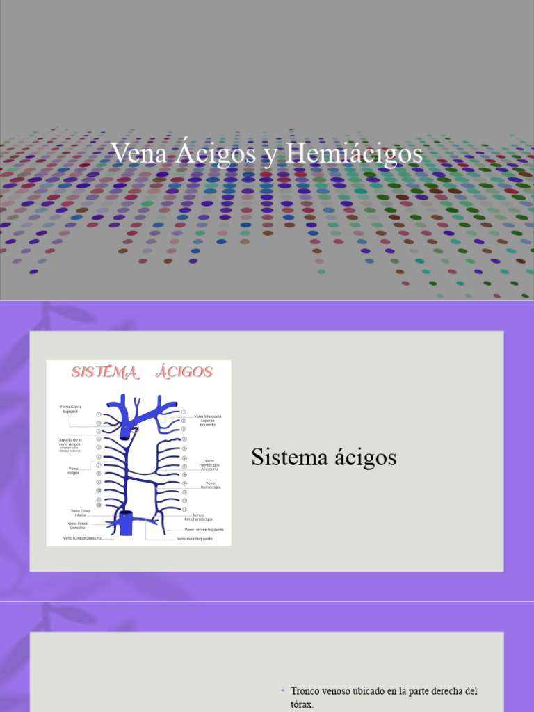 Vena Ácigos y Hemiácigos | PDF | Historia | Clásicos