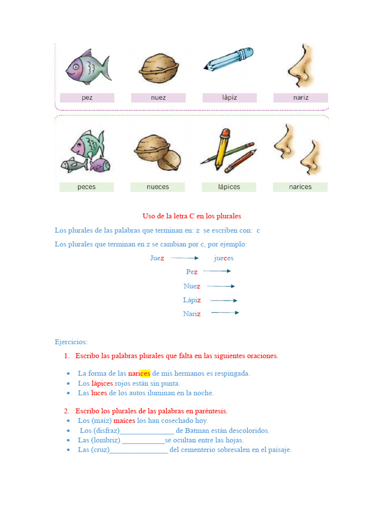 Uso de La C en Los Plurales 4to | PDF