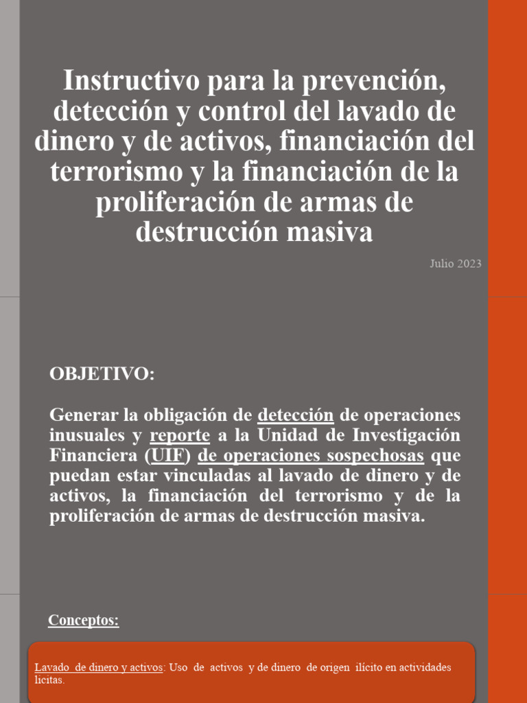 Instructivo sobre LDA/FT/FPADM | PDF | Lavado de dinero | Auditoría