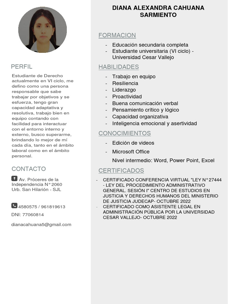 CV Diana Completo | PDF