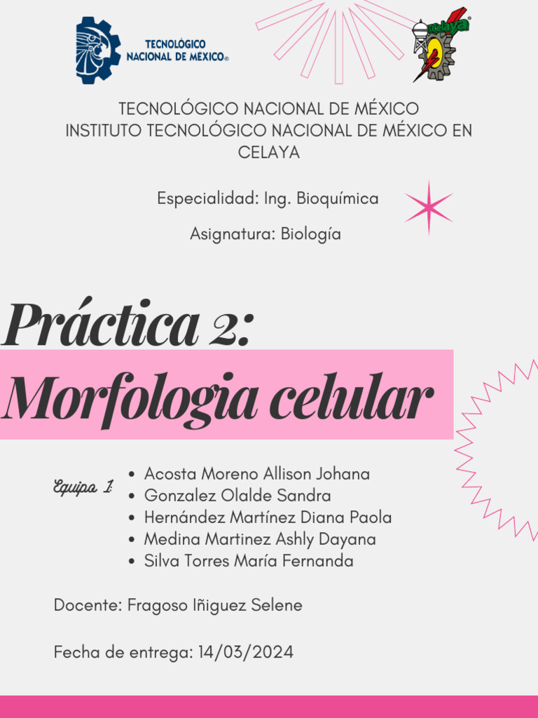 Practica 2. Morfología celular | PDF | Biología Celular) | Biología