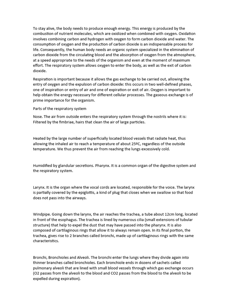 Respiratory System Pdf Lung Respiratory System