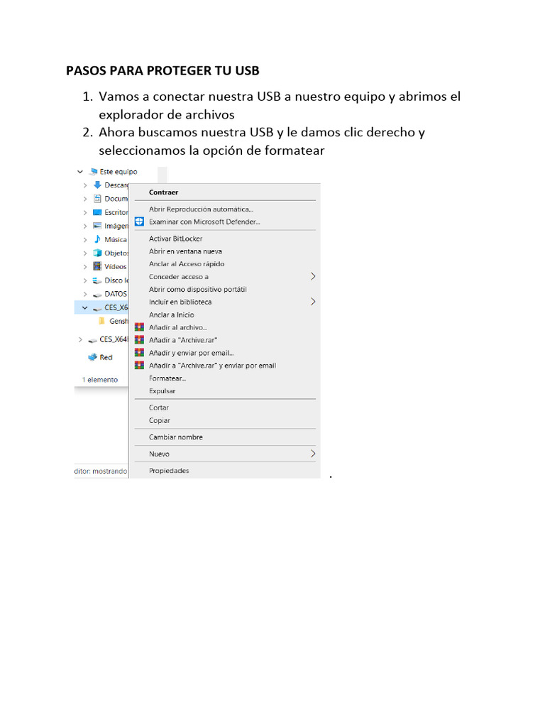 Pasos para Proteger Tu Usb | PDF