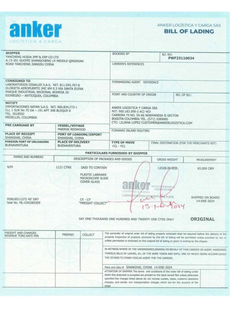 Documento de Carga | PDF