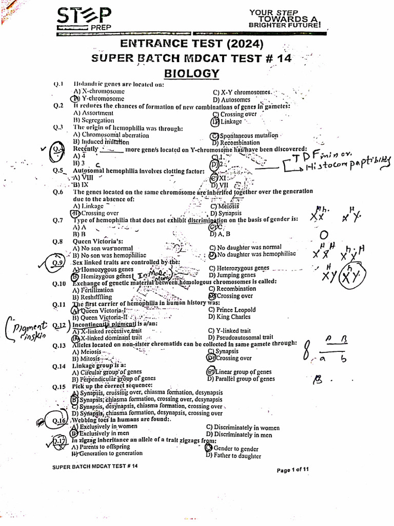 Step 2024 SB Test 14 by Study Corner | PDF