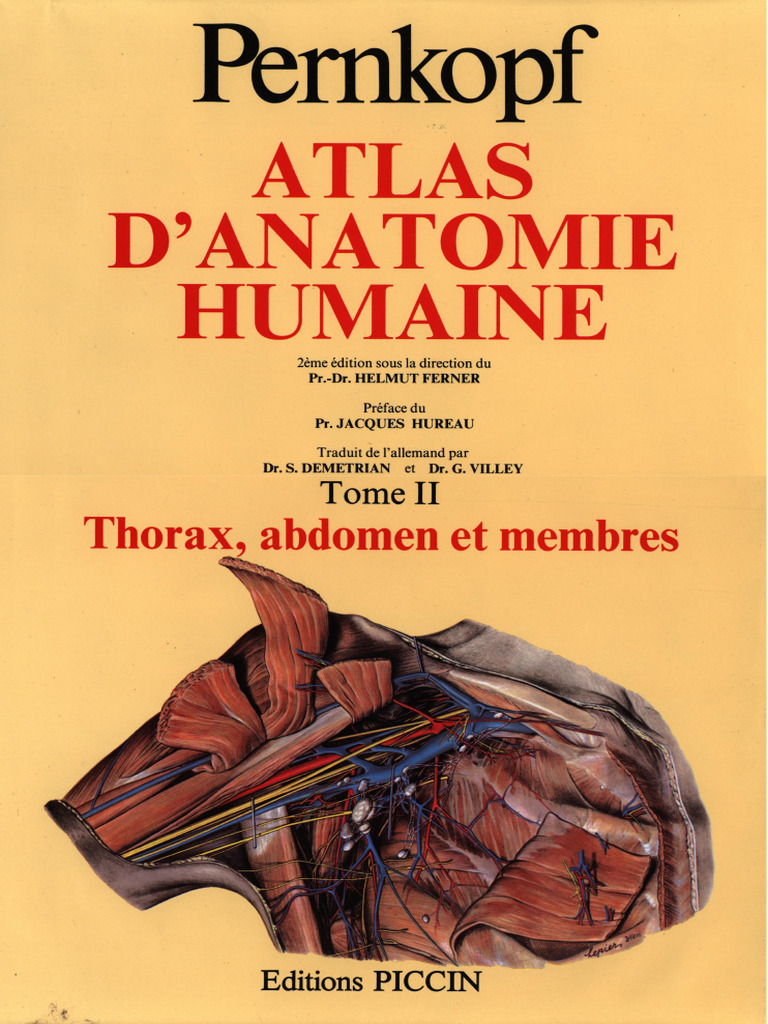 Atlas Danatomie Humaine, Tome II (Eduard Pernkopf) | PDF | Art