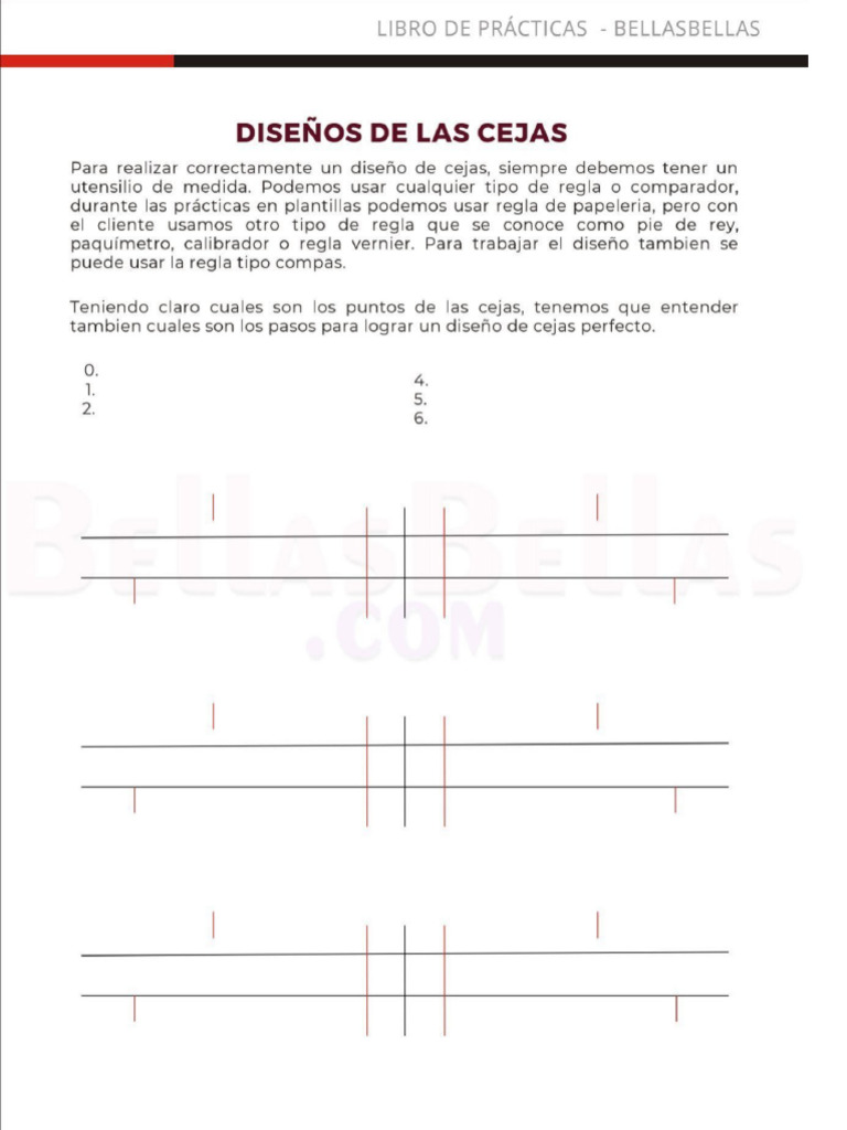 Plantilla de Practica para Cejas | PDF