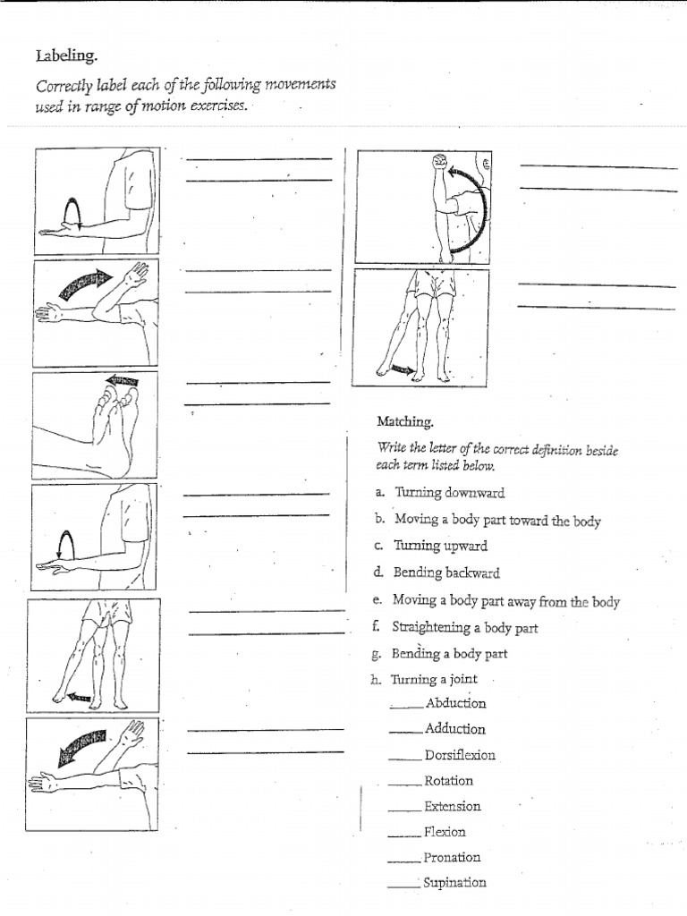 Range of Motion Labeling | PDF