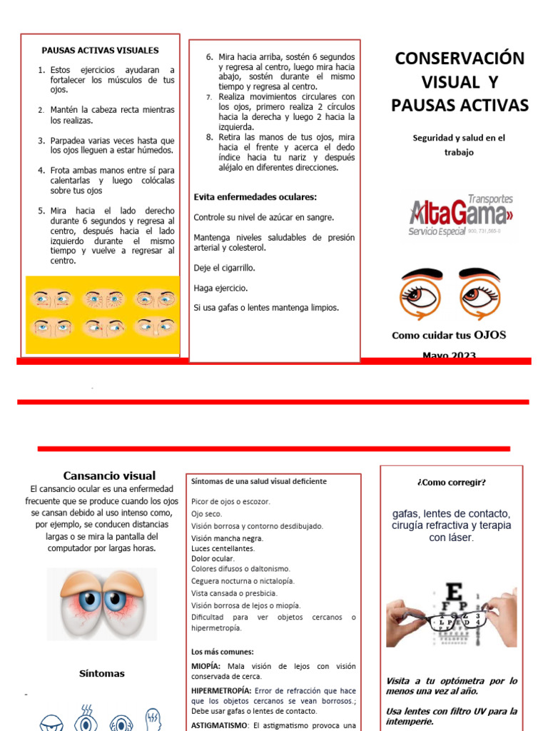 Folleto Cuidado Visual | Descargar gratis PDF | Ojo humano | Lentes