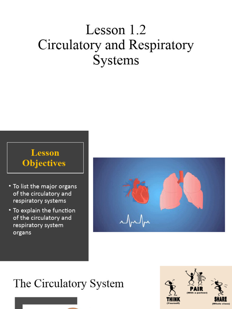 Lesson 1.2 - Circulatory and Respiratory Systems UL | PDF | Blood ...