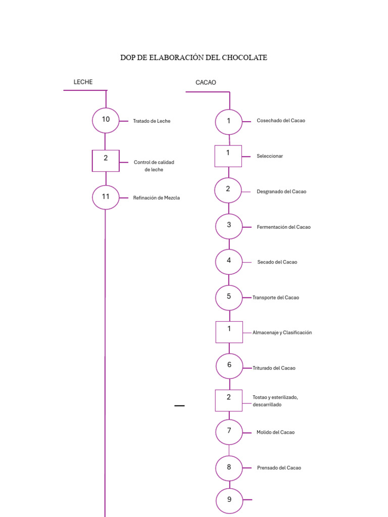 Dop de Elaboración Del Chocolate | PDF | Cocina, comidas y vino