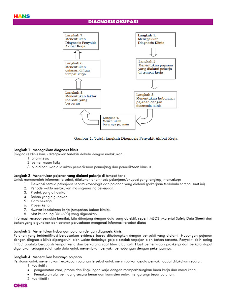 Diagnosis Okupasi - OHIS (HANS) | PDF