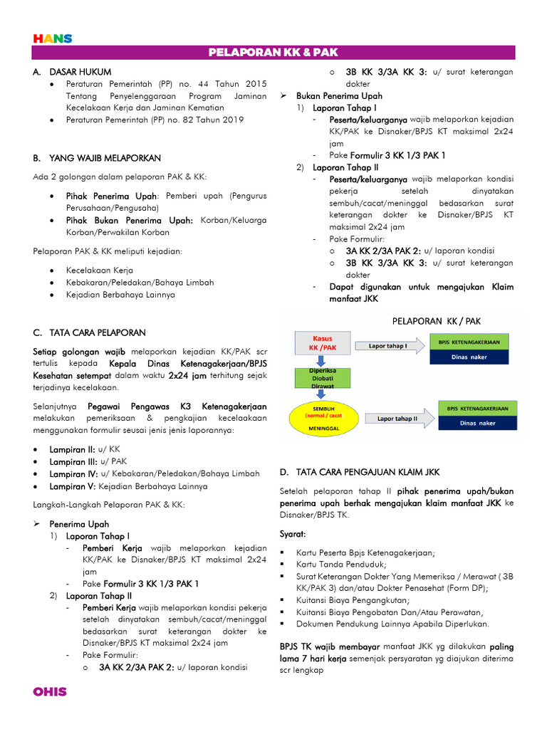 Pelaporan PAK - KK - OHIS (HANS) | PDF