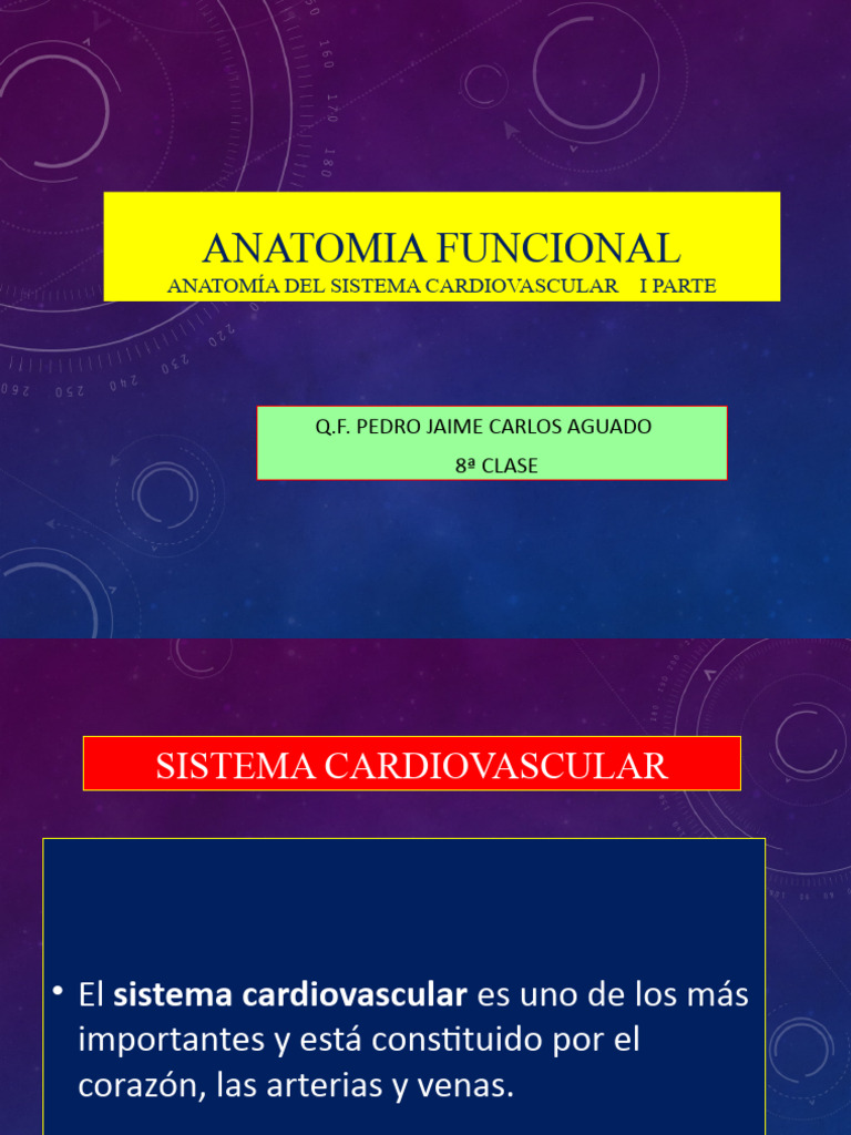 Anatomía Funcional del Corazón | PDF | Sistema circulatorio | Corazón