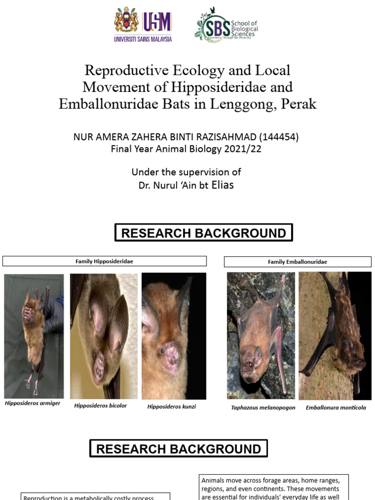 Viva - Presentation Outline | PDF | Biology | Zoology