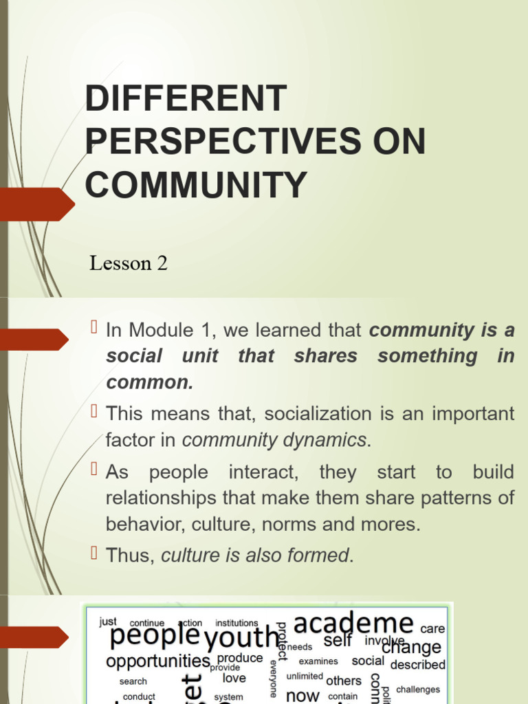 l3.1 Different Perspective of Community | PDF | Social Sciences | Community