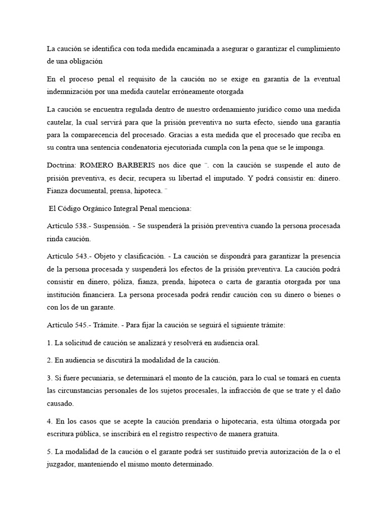 Importancia de la Caución en Proceso Penal | PDF | Mandato