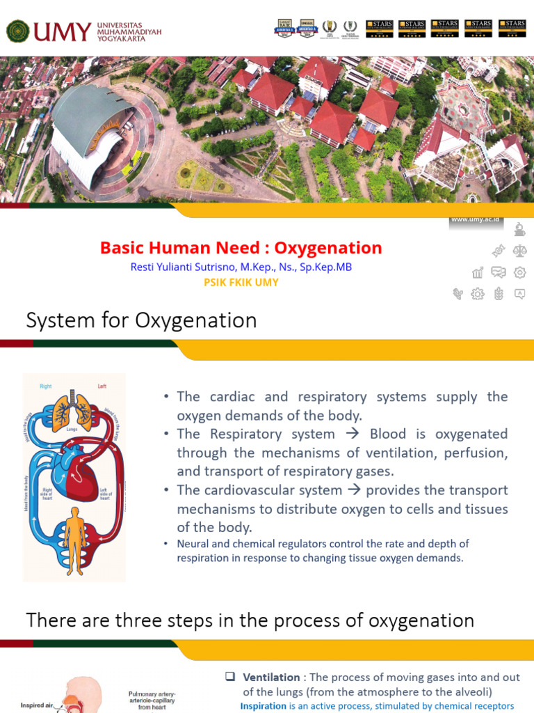 Basic Human Need Oxygenation Concept and Nurssing Care 2024 | PDF ...