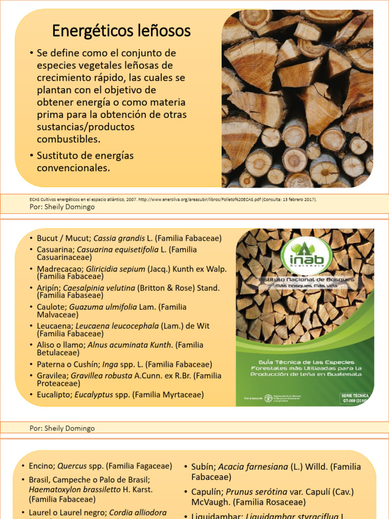 Energéticos Leñosos P1 Shey | PDF