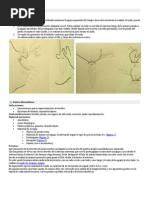 Guía de Sutura Colchonero Horizontal | PDF | Cirugía | Especialidades ...