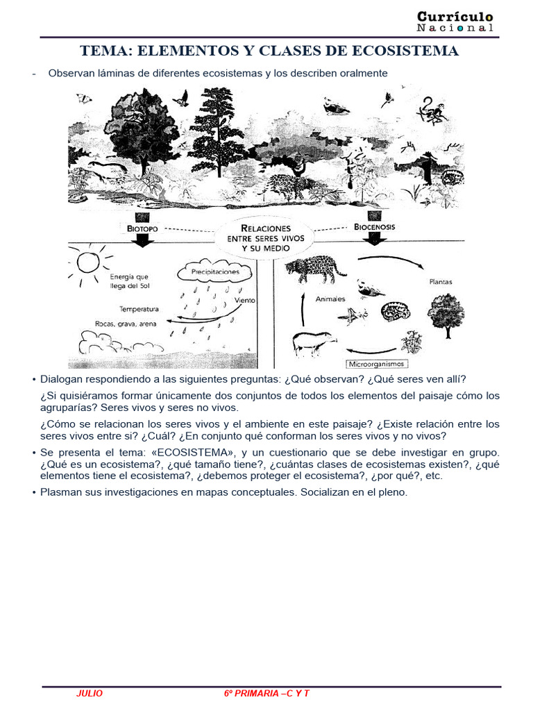Ecosistemas para 6º Primaria | PDF | Ecosistema | Suelo