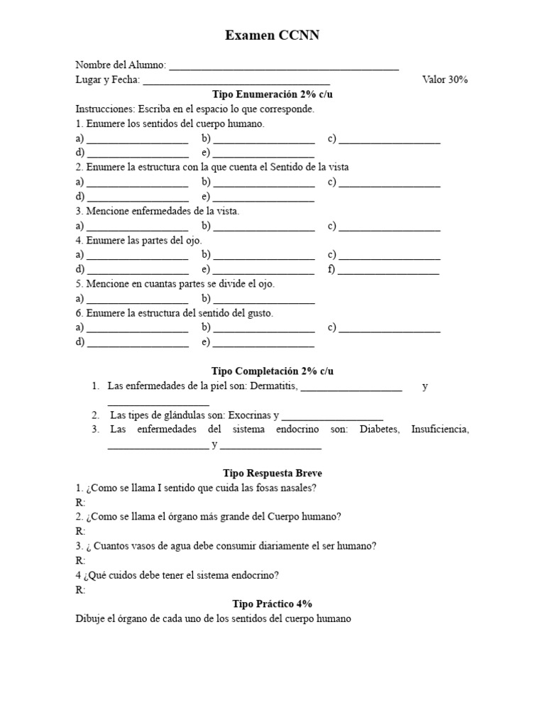 Examen CCNN | PDF
