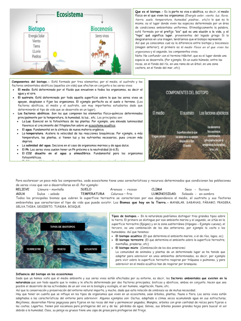 Clase 1 | Descargar gratis PDF | Entorno natural | Ecosistema