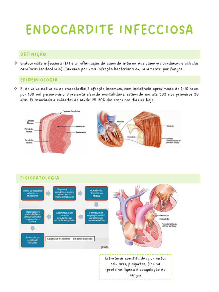 Histologia De Endocardite Infecciosa Endocarditis Infecciosa | Nelly