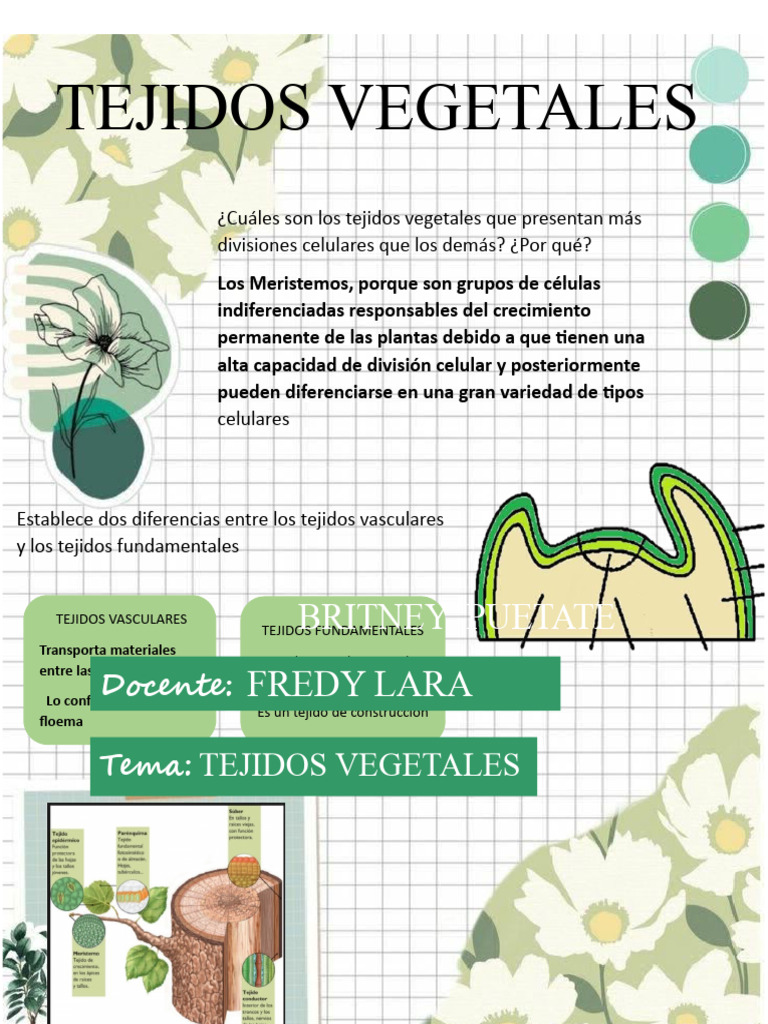 Ciencias | Descargar gratis PDF | Plantas | Fisiología de las plantas