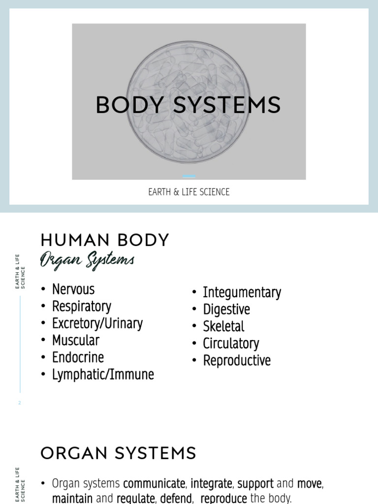 Organ Systems | PDF | Human Body | Blood