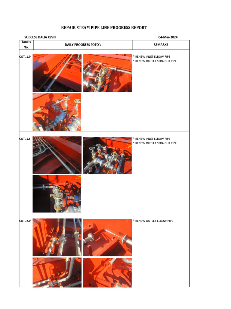 Repair Progress Report | PDF