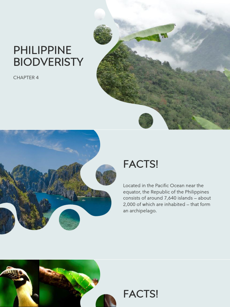 Philippine Biodiversity Overview | PDF | Forests | Logging