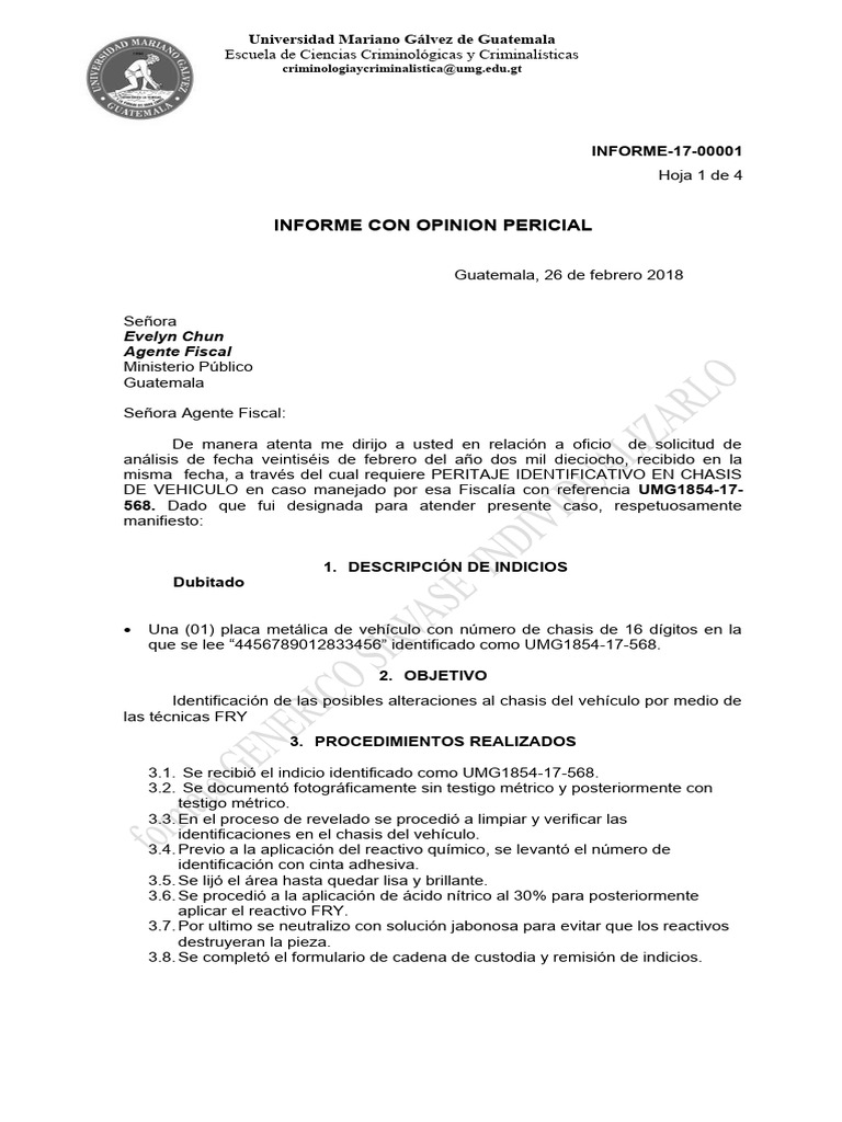 Formato de Dictamen Pericial | PDF