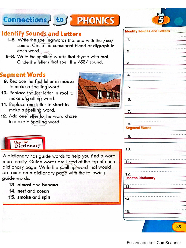 Spelling 3 Grade Unit 5-6 | PDF