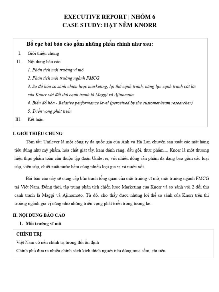 Executive Report - Nhóm 6 Case Study - H T Nêm Knorr | PDF