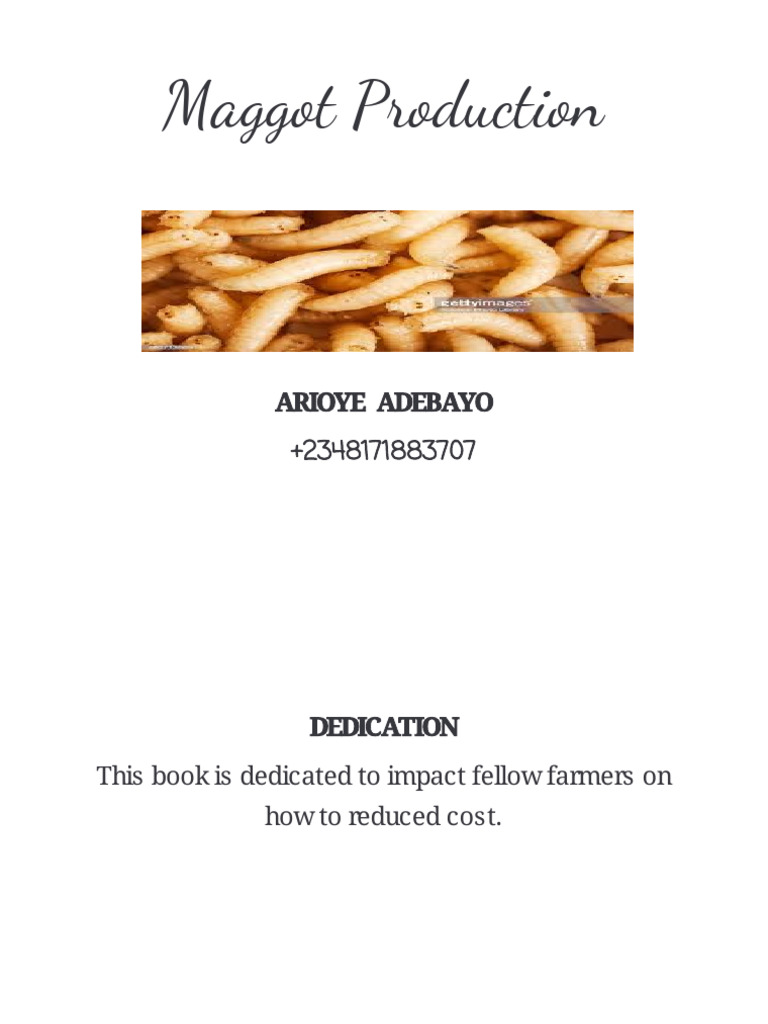 Maggot | PDF | Science & Mathematics