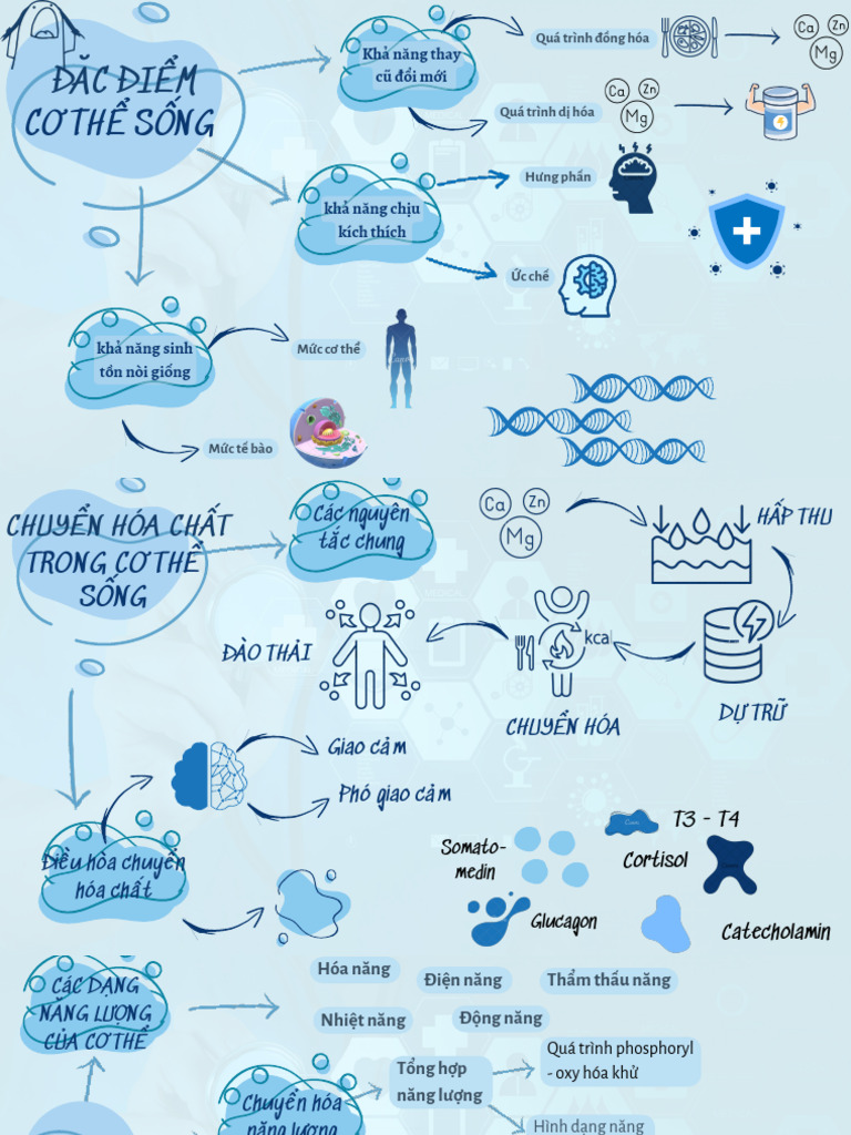 Green and Blue Playful Illustrative Mind Map | PDF